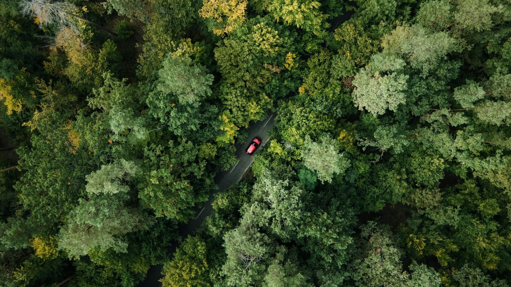 Miller Ingram consultoría y marketing - Miller Ingram